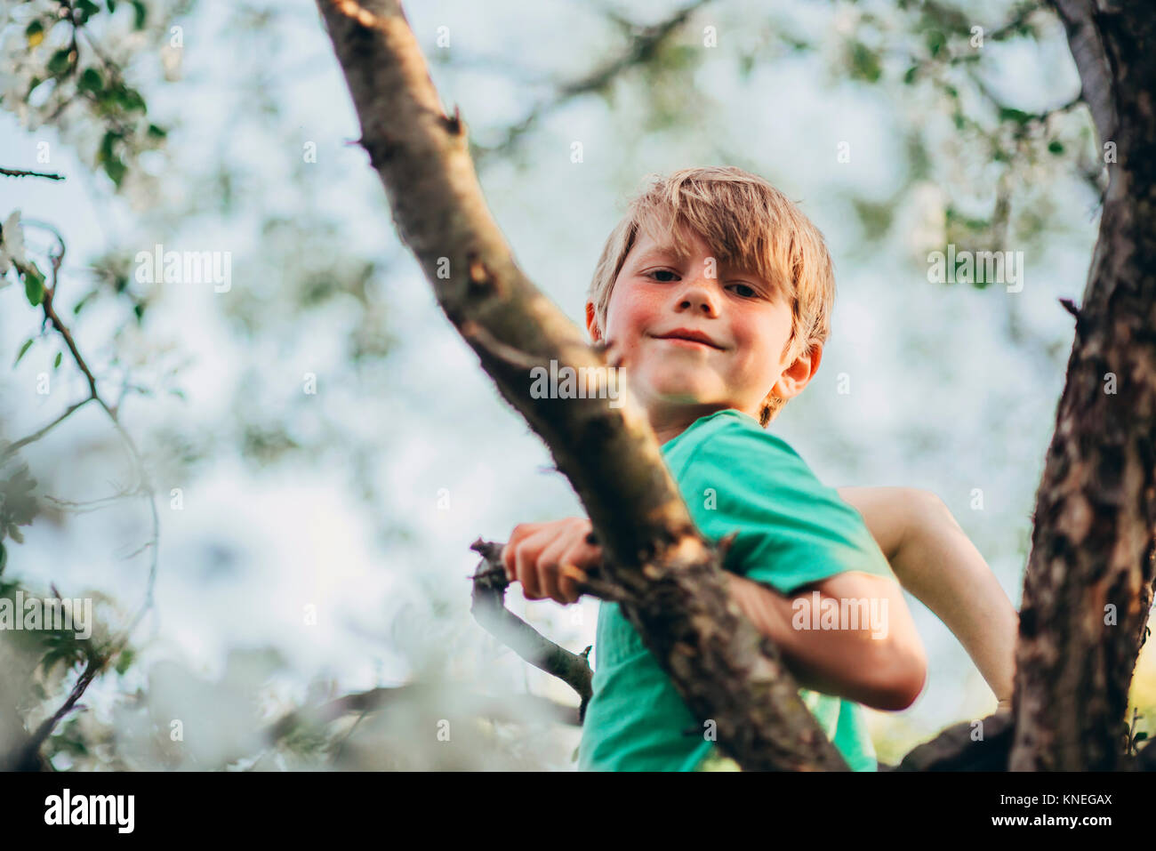 Children sitting in a tree hi-res stock photography and images - Alamy