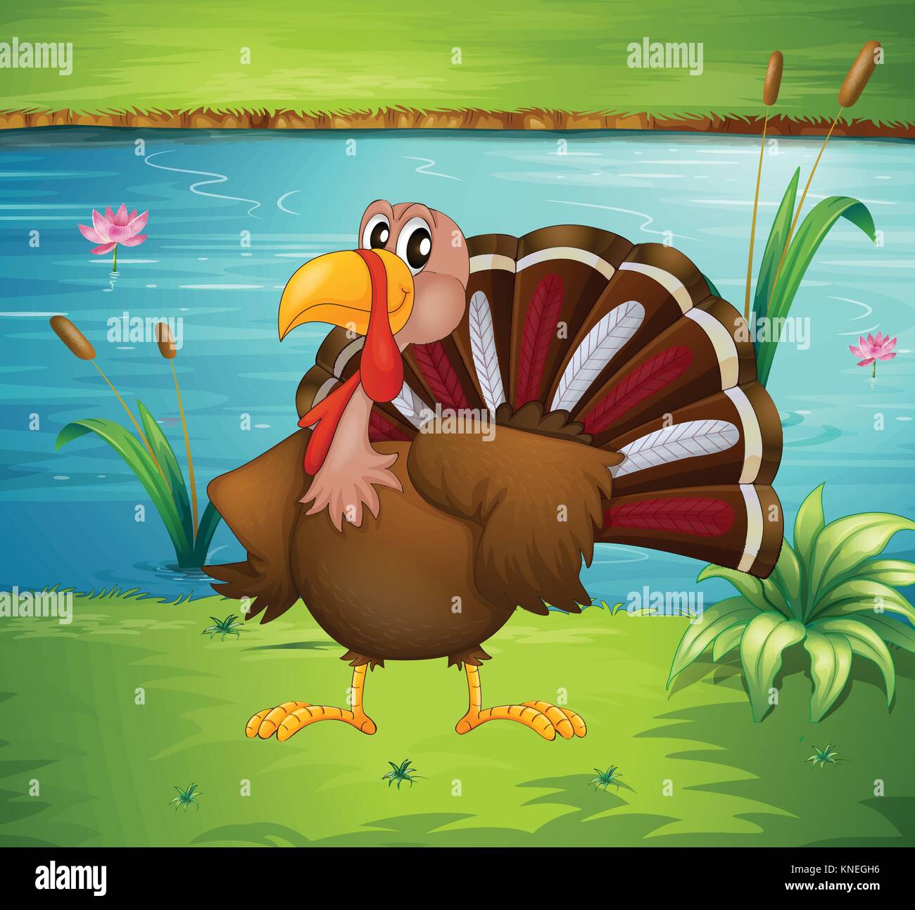 Illustration of a turkey near the pond Stock Vector Image & Art - Alamy
