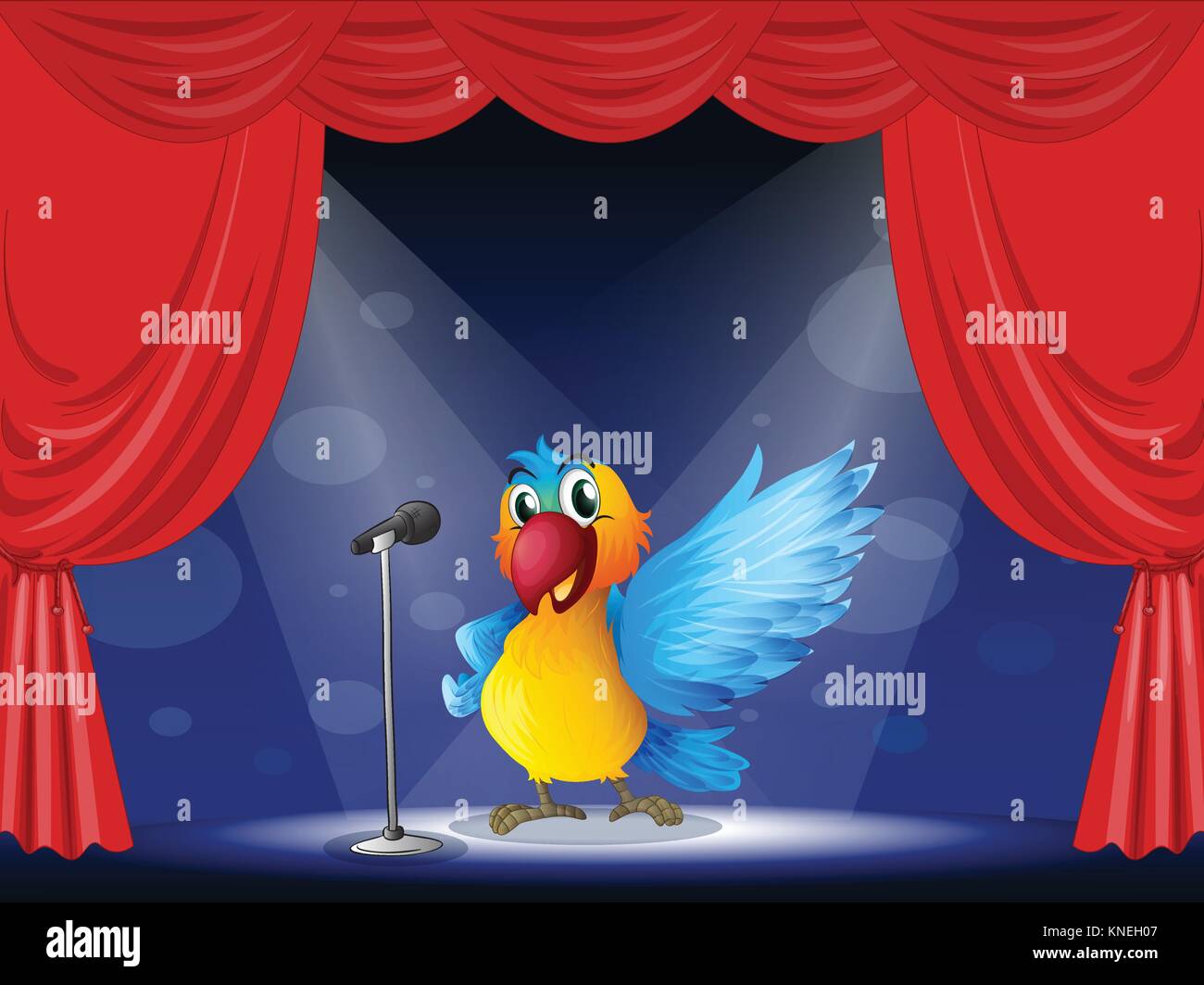 Parrot pic hi-res stock photography and images - Alamy