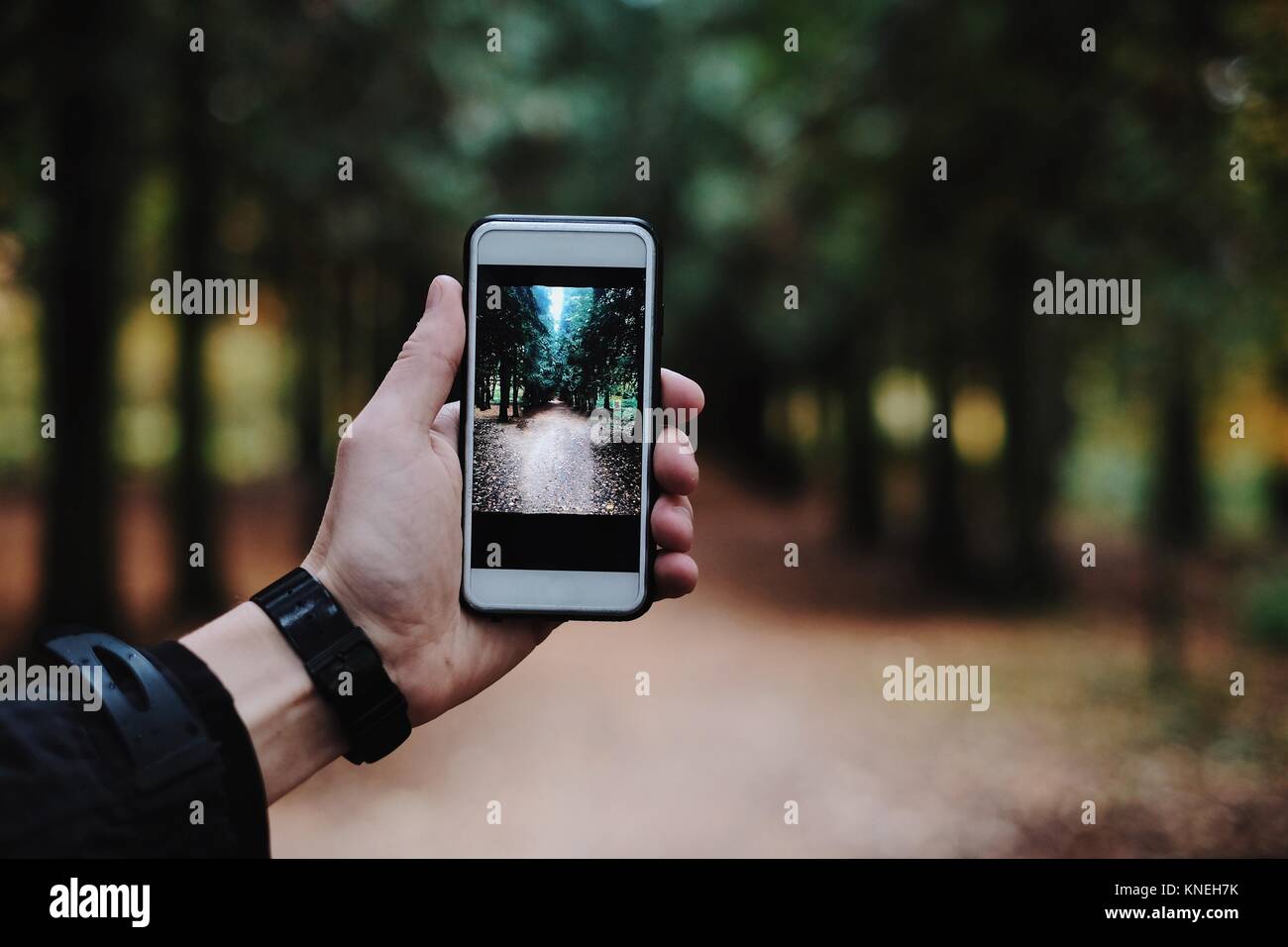 Man taking a photo with a smartphone Stock Photo - Alamy