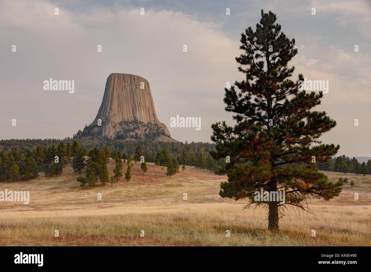 Devils tower hi-res stock photography and images - Alamy
