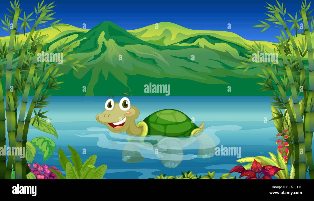 Cartoon sea turtle swimming in hi-res stock photography and images - Alamy