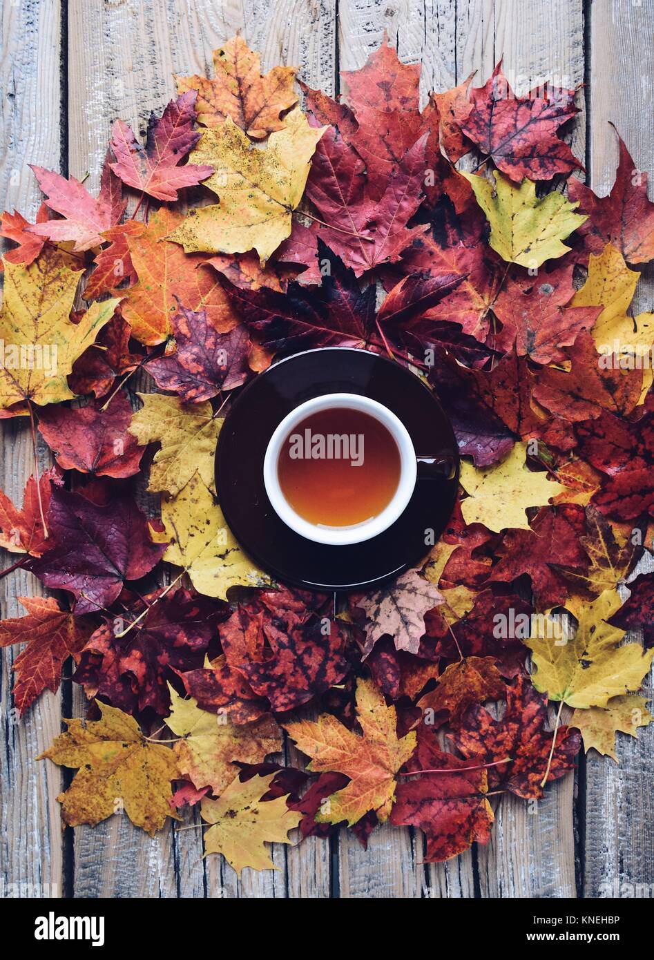 Cup of tea surrounded by autumn leaves Stock Photo - Alamy