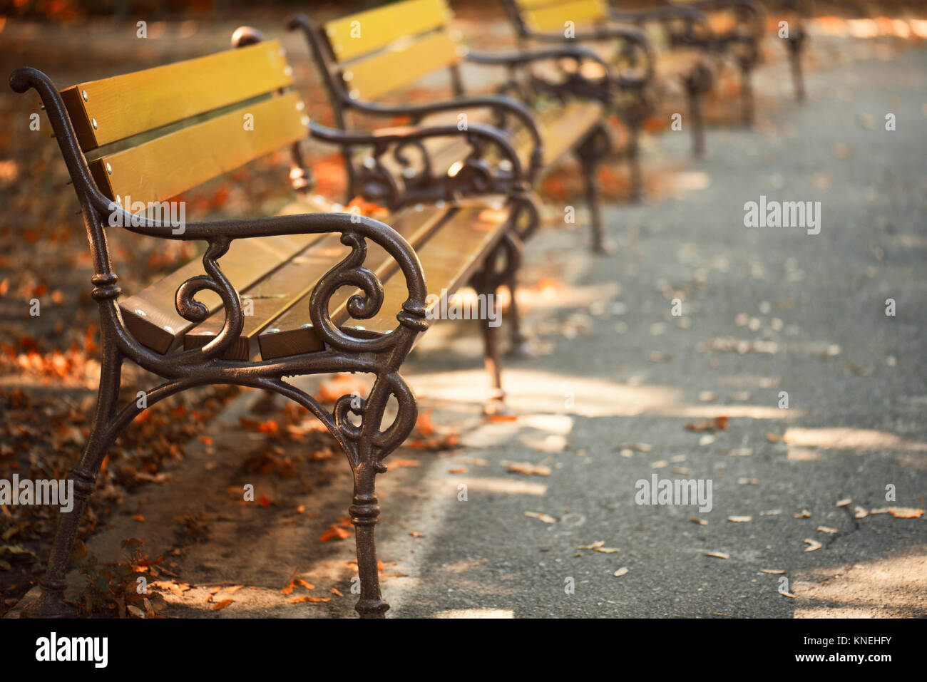 Benches in a park Stock Photo - Alamy