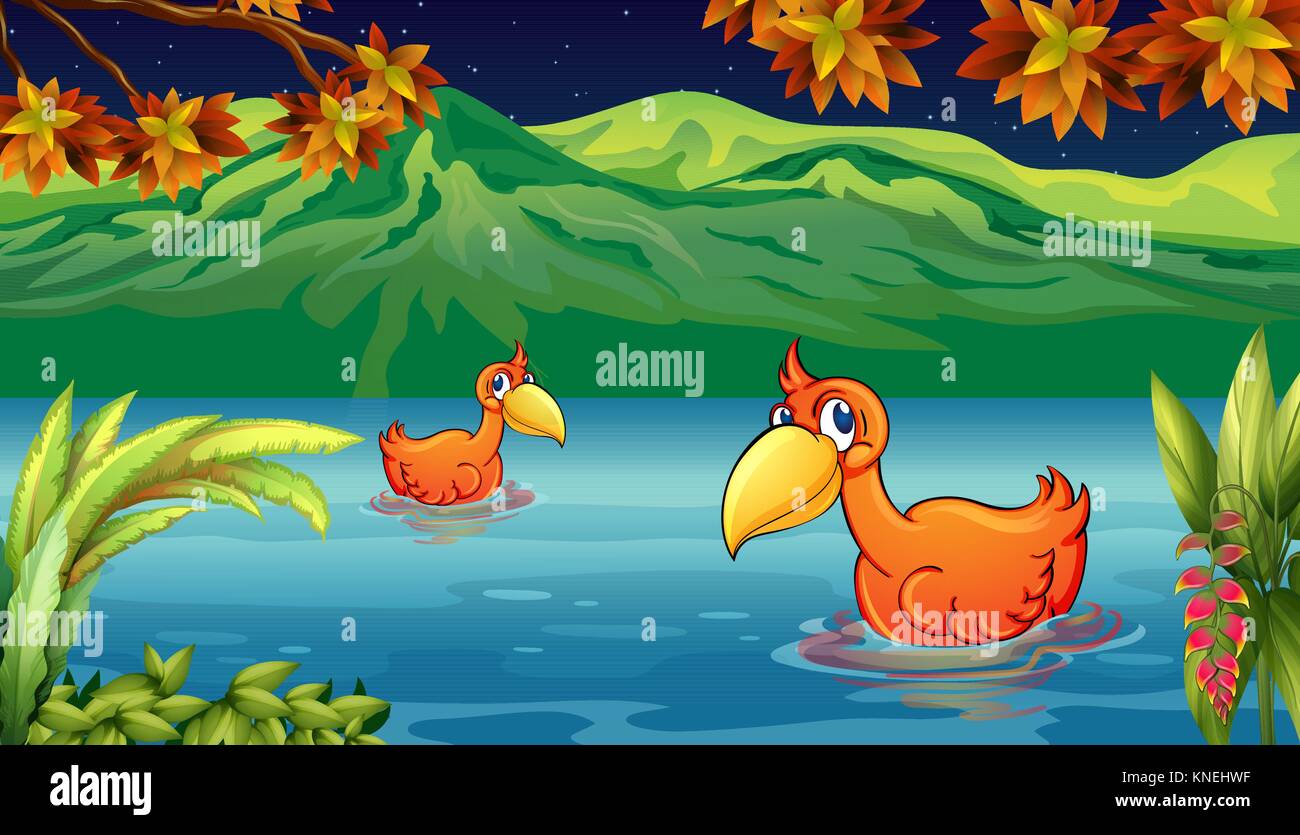 Illustration of two ducks swiming in the river Stock Vector Image & Art ...