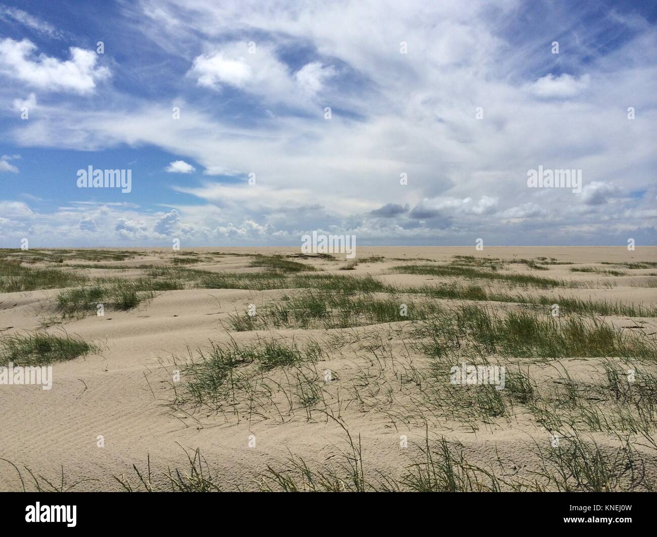 Tranquil beach scene grassy dunes hi-res stock photography and images ...