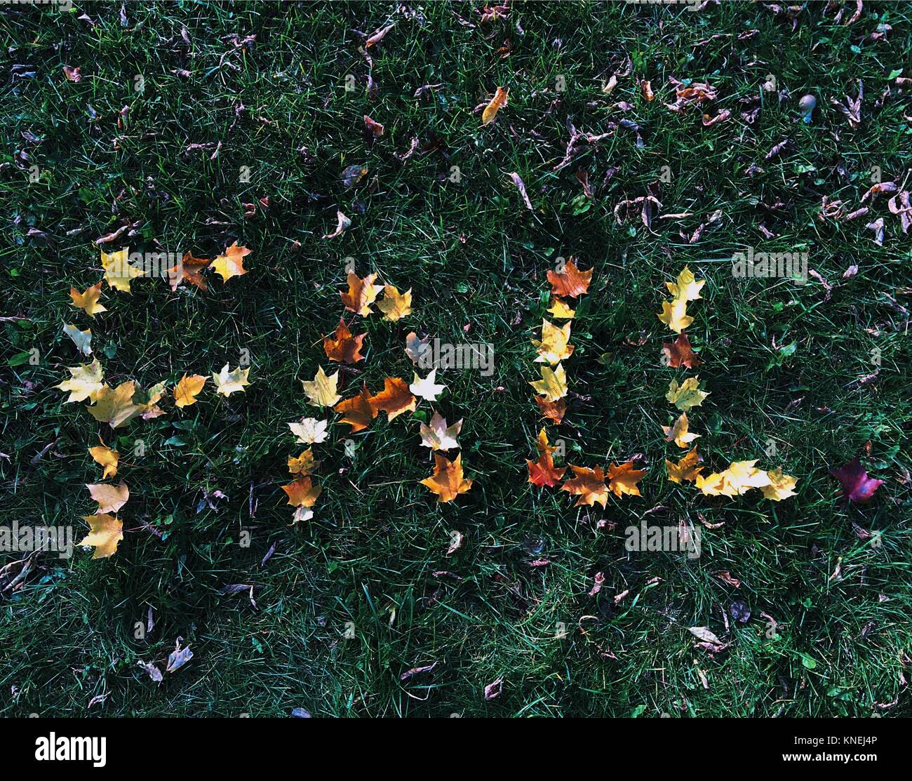 Fall word hi-res stock photography and images - Alamy