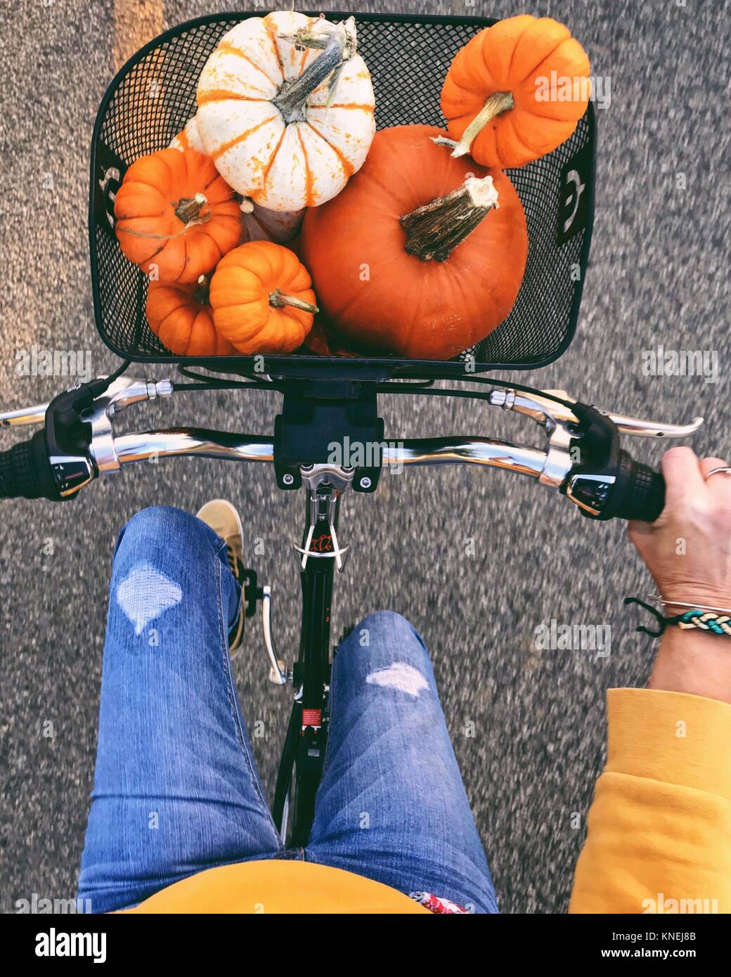 Woman riding bicycle with pumpkins in the basket Stock Photo - Alamy