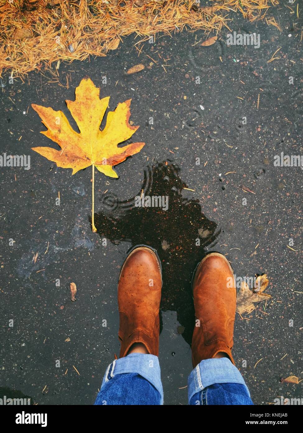 Puddle focus on shadow hi-res stock photography and images - Alamy
