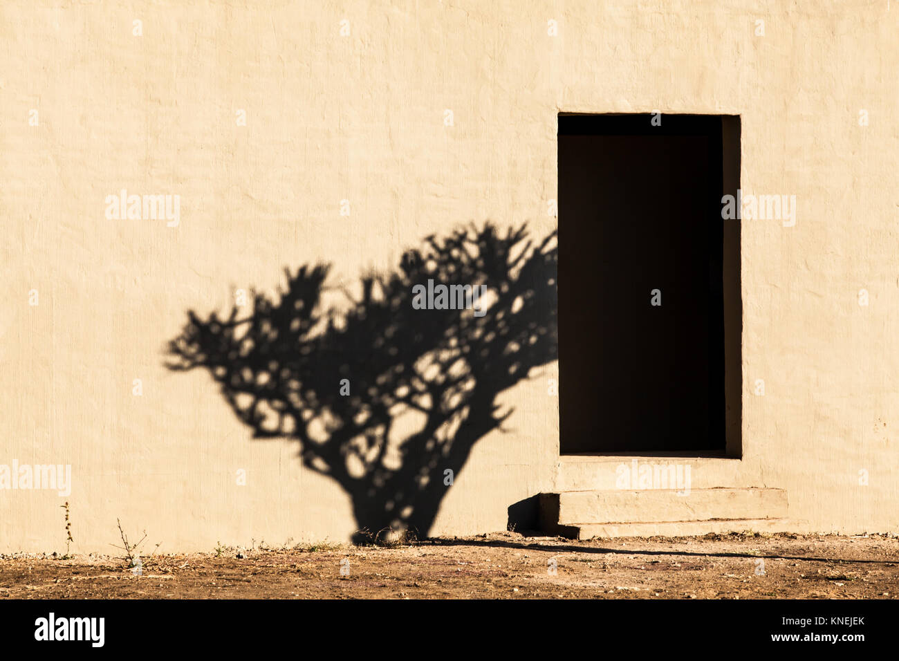 Horizontal shadow tree hi-res stock photography and images - Alamy