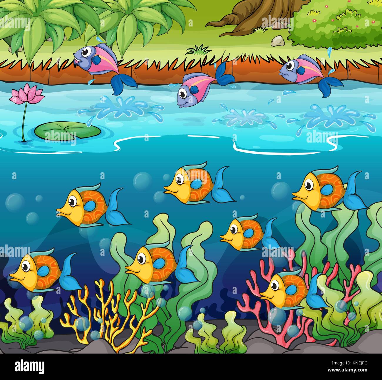 Pond Weed Stock Vector Images - Alamy