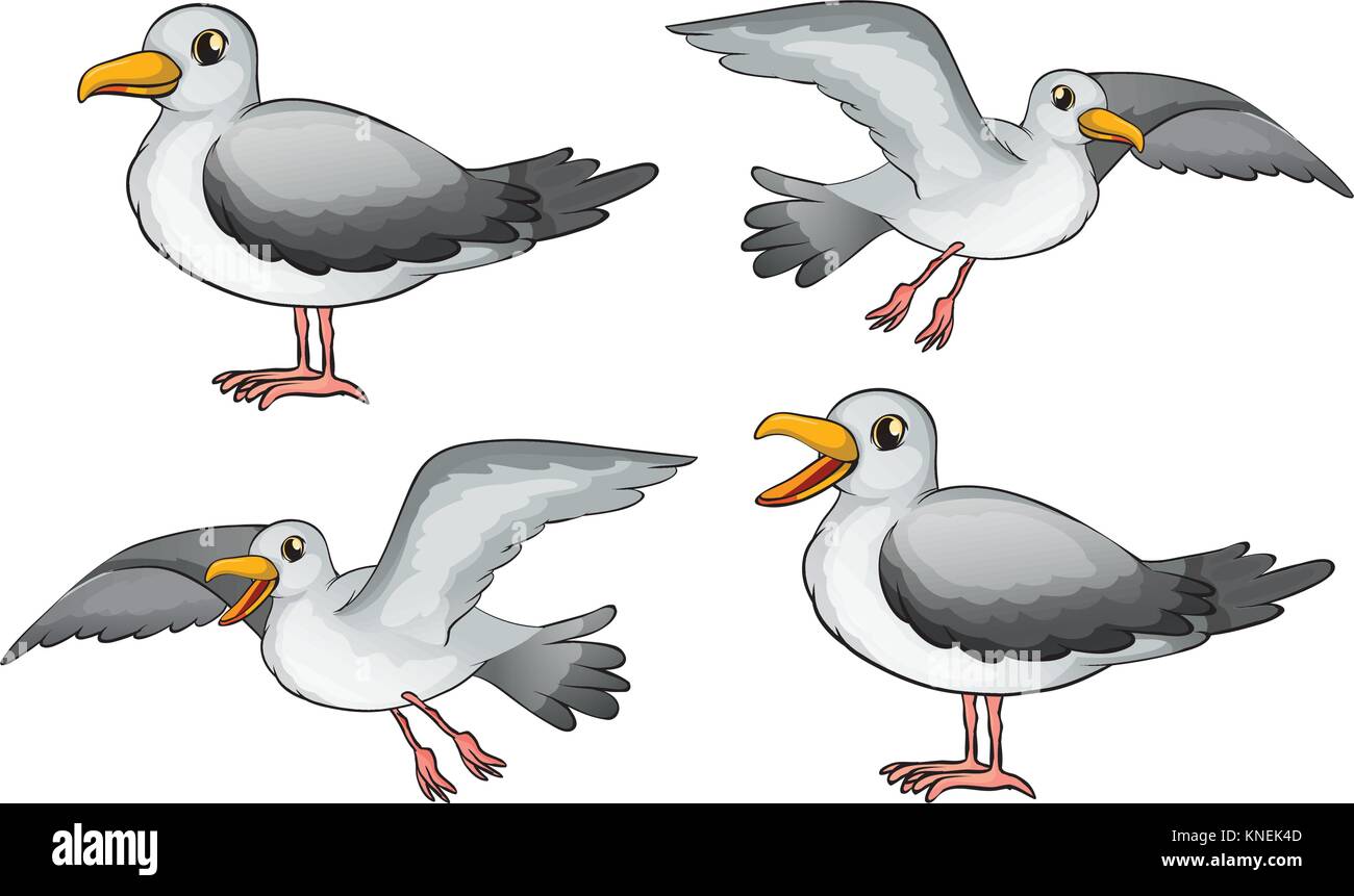 Illustration of four birds on a white background Stock Vector Image ...
