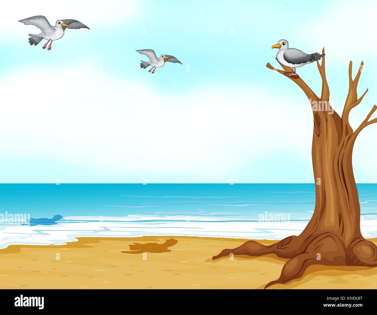 Illustration of birds at the beach Stock Vector Image & Art - Alamy