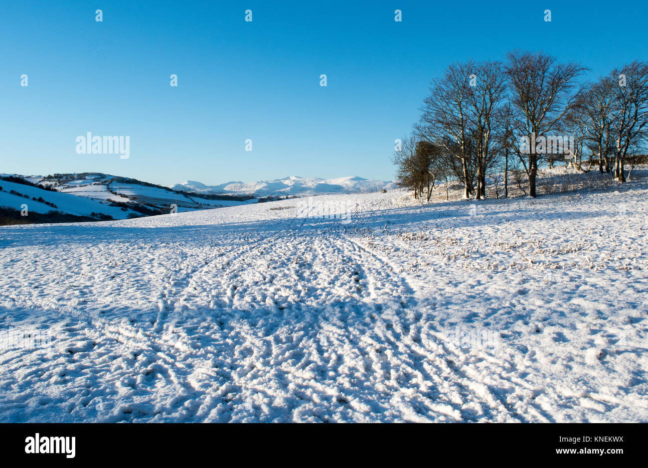 Snow scene North Wales (UK Weather Stock Photo - Alamy