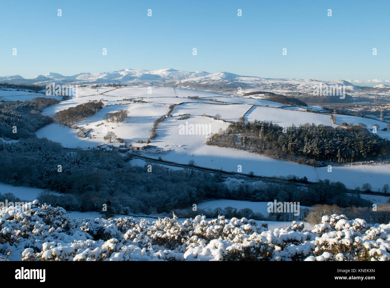 Snow scene North Wales (UK Weather Stock Photo - Alamy