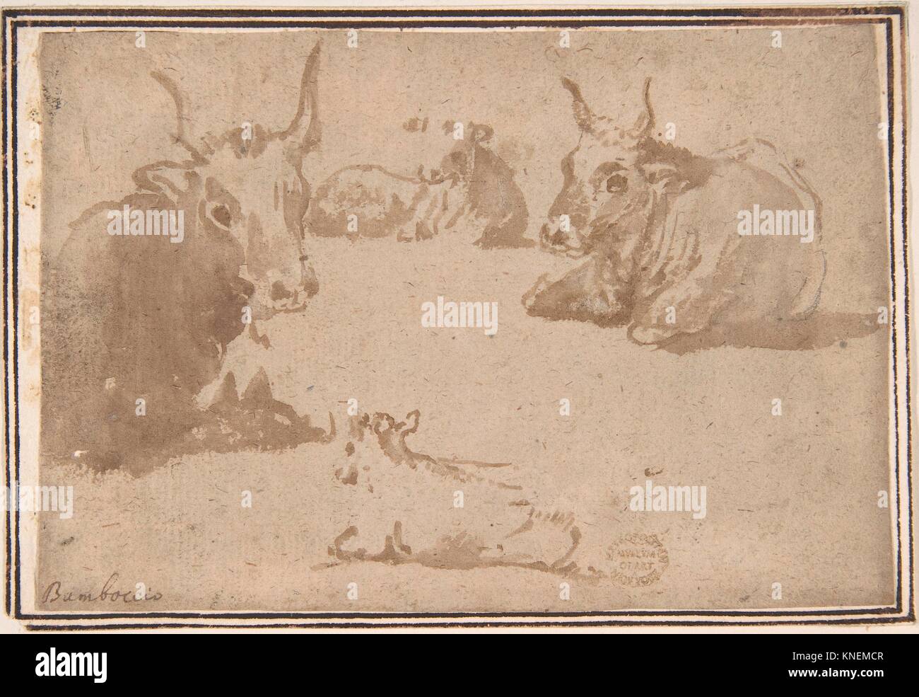 Cattle studies hi-res stock photography and images - Alamy