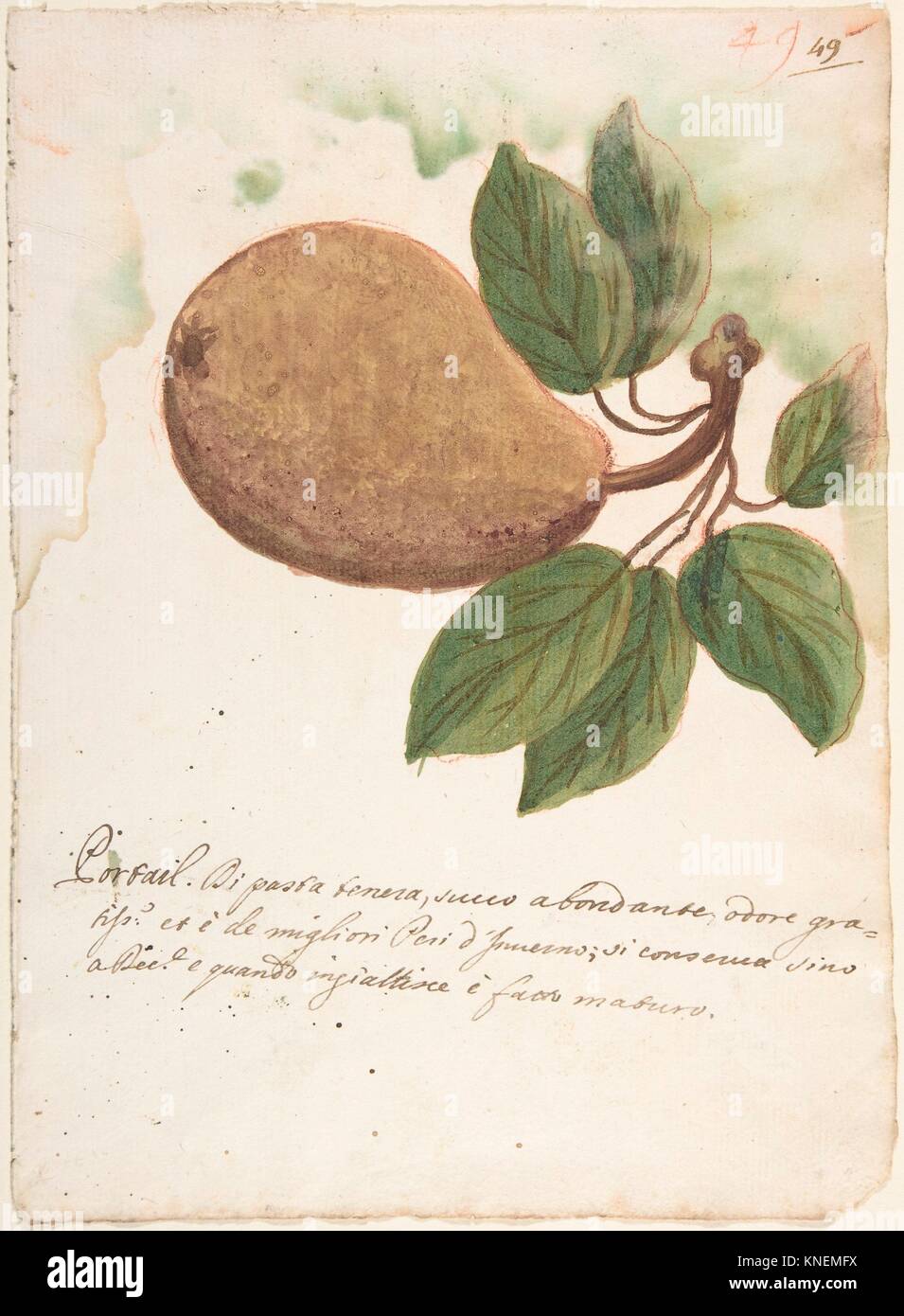 Kay brown artist hi-res stock photography and images - Alamy