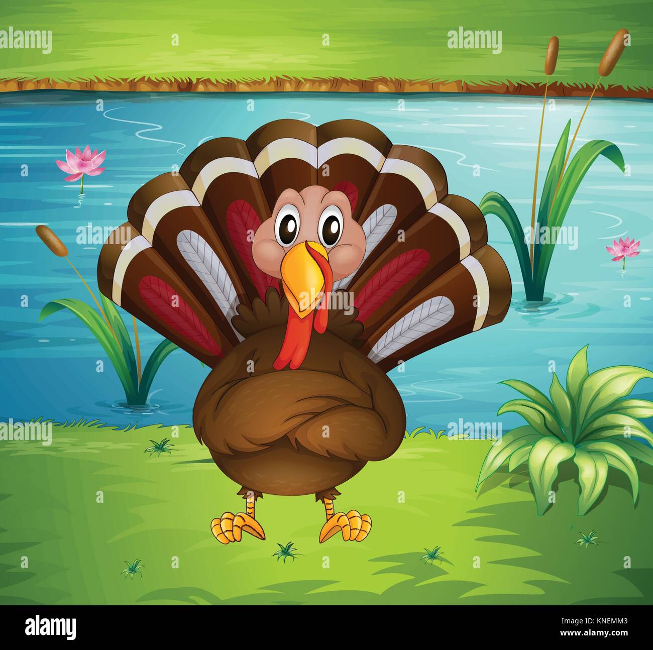 Illustration of a turkey standing in the riverside Stock Vector Image ...