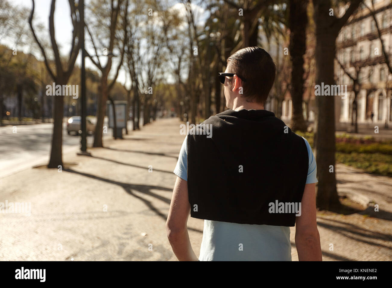 Walking tree hi-res stock photography and images - Alamy