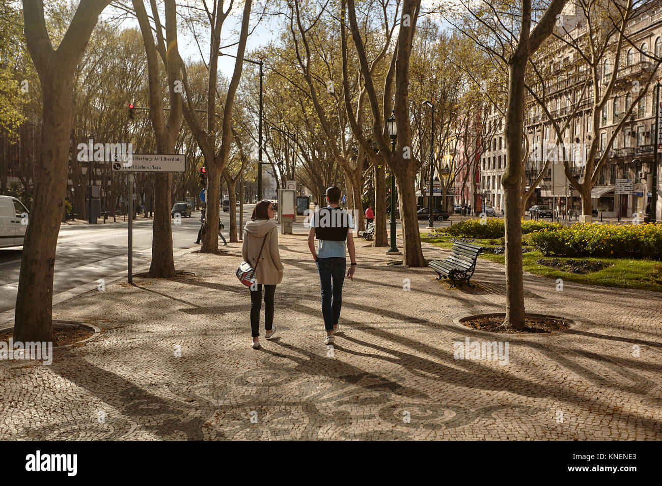 Walking tree hi-res stock photography and images - Alamy