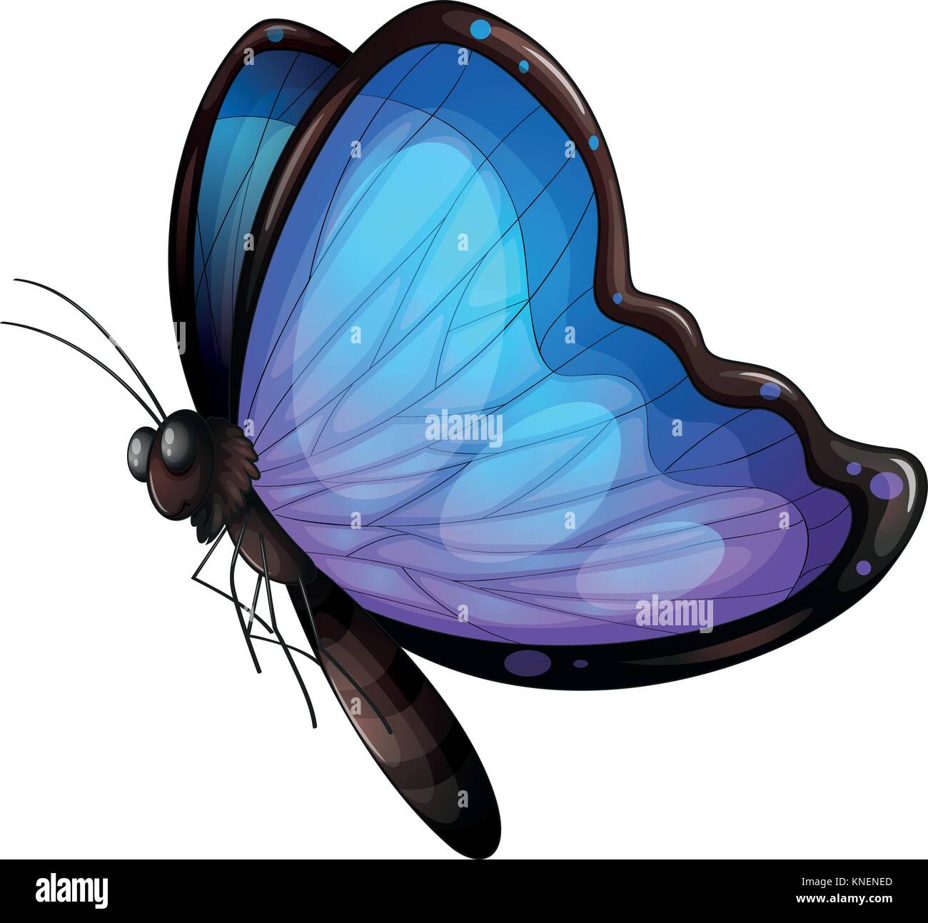 Monarch butterfly legs Stock Vector Images - Alamy