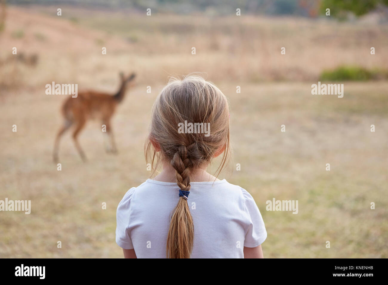 Girl in rural setting, watching mountain reedbuck antelope, rear view ...