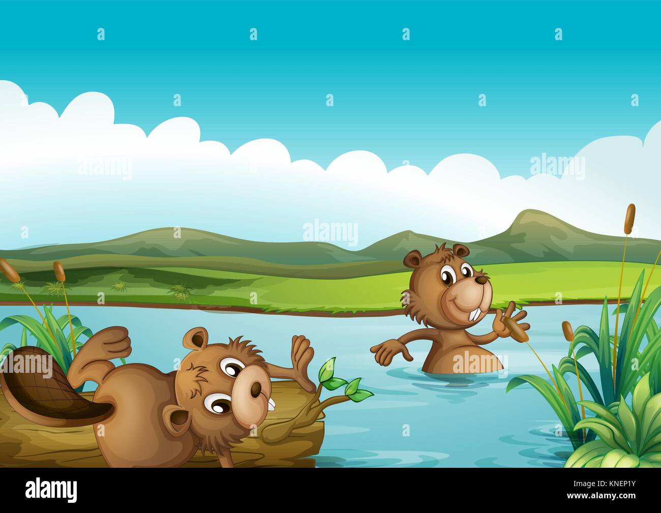 Illustration of beavers playing in the river Stock Vector Image & Art ...