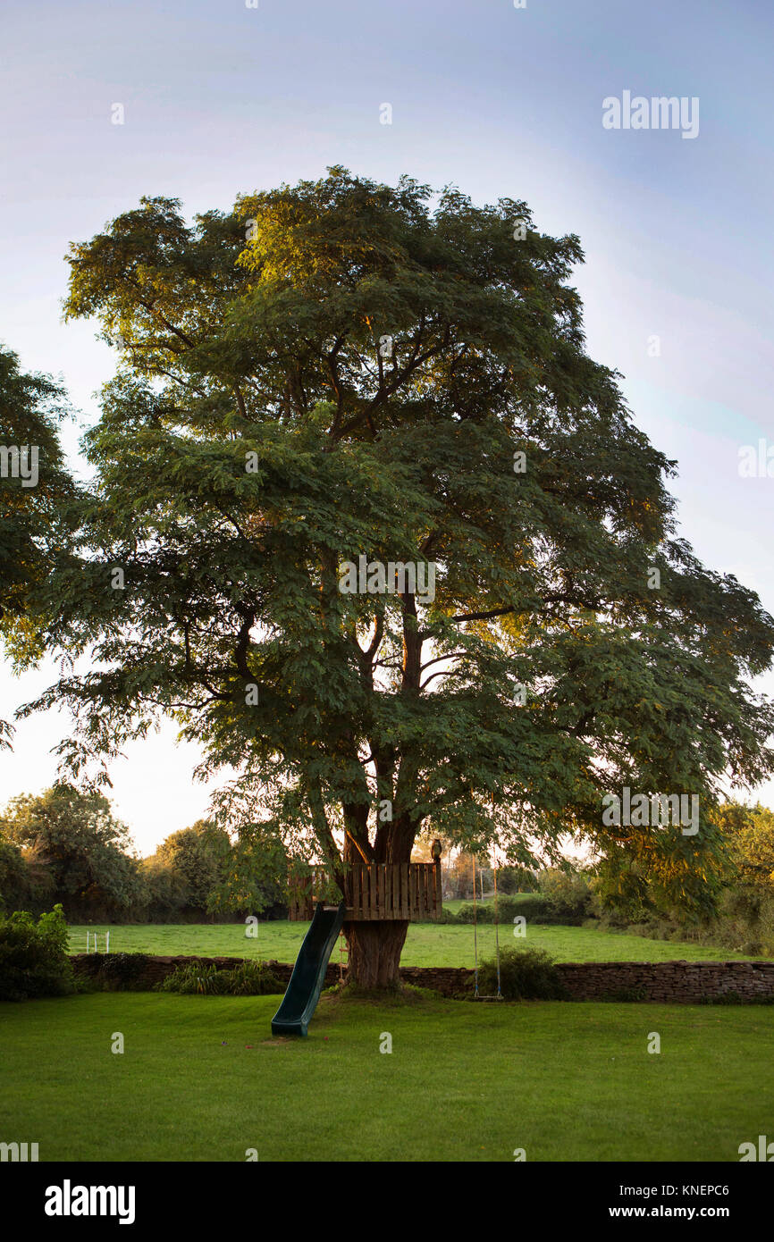 Tree house with slide in tree Stock Photo - Alamy