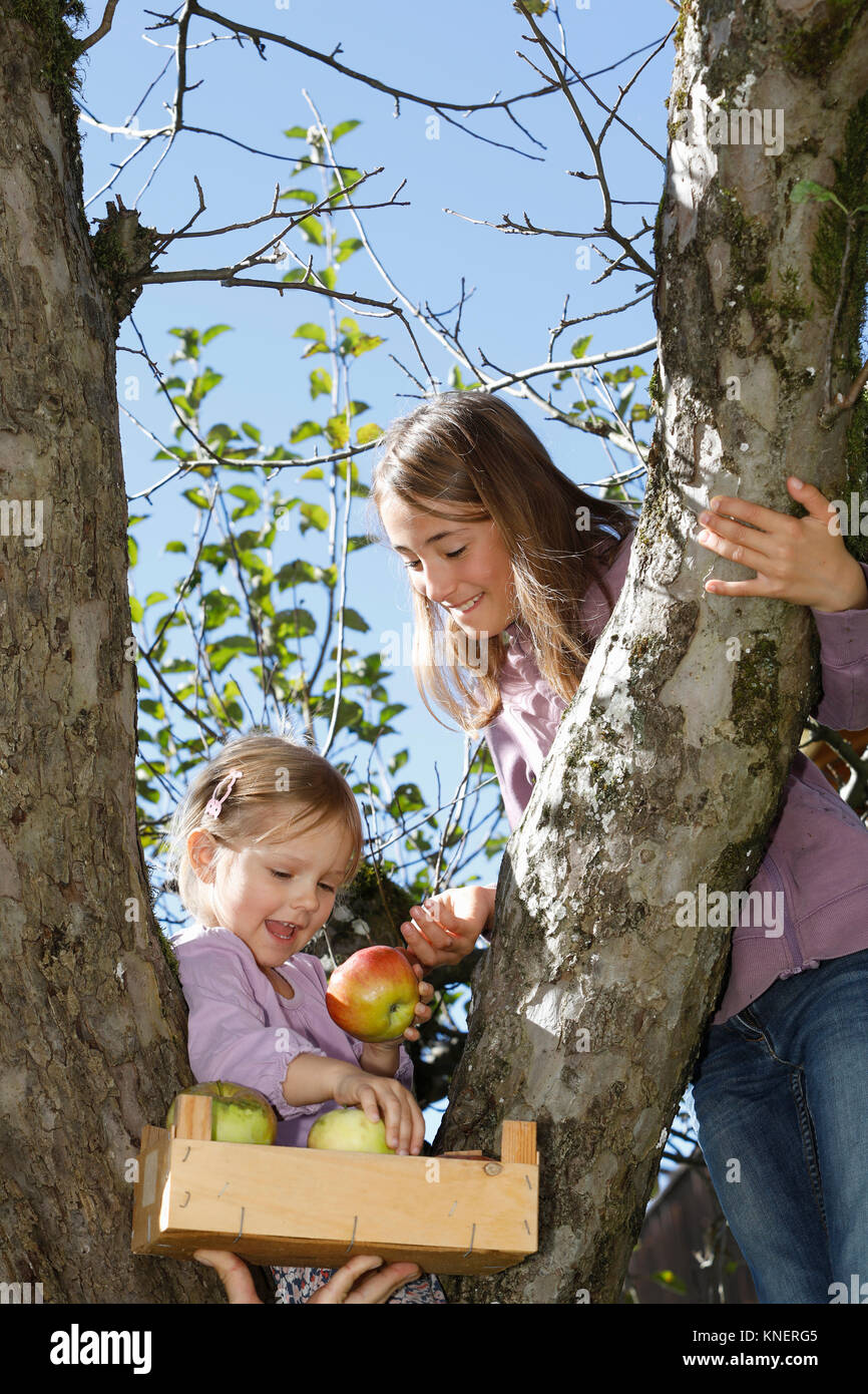 Girls apples hi-res stock photography and images - Alamy