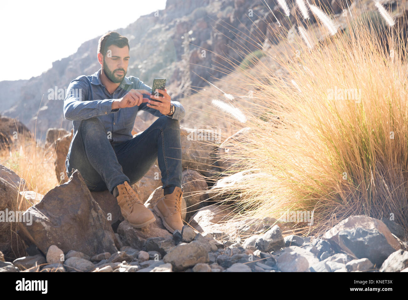 Young male hiker sitting on boulder looking at smartphone in valley ...
