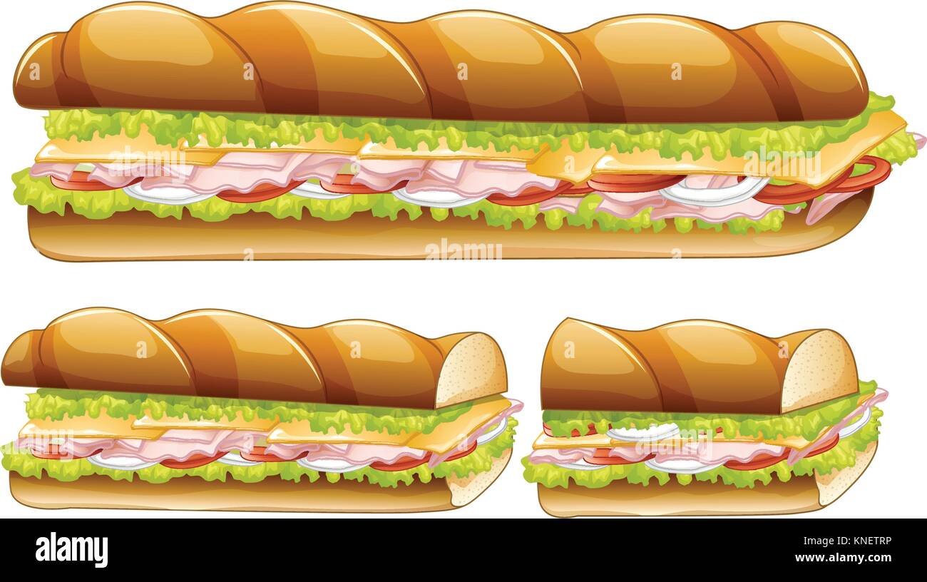 illustration of a berger on a blue background Stock Vector Image & Art ...