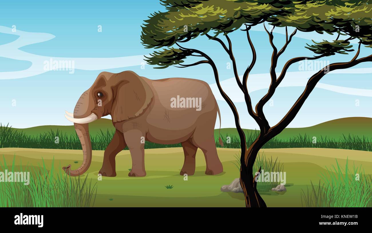 Elephant grassland Stock Vector Images - Alamy