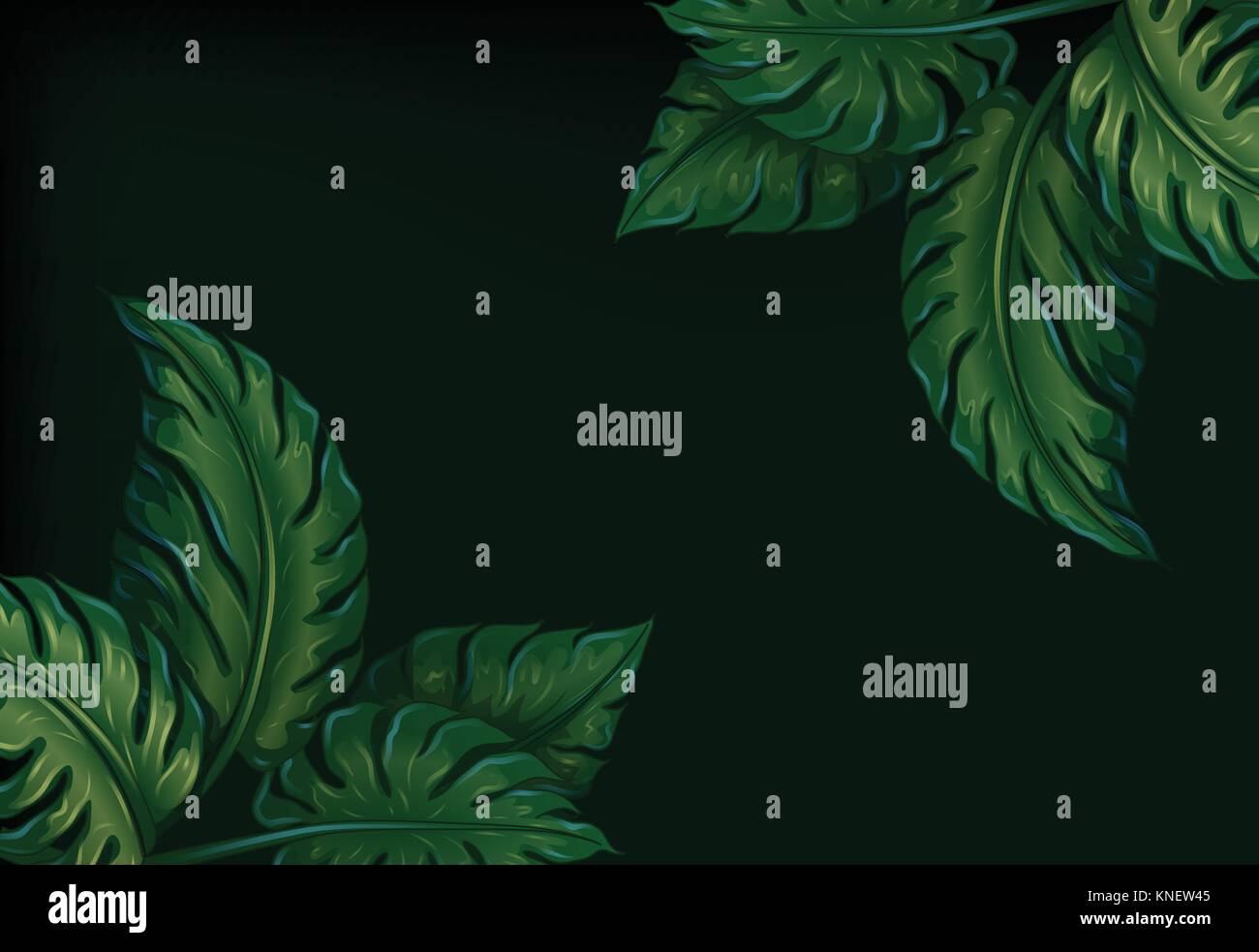 Illustration of eight leaves on a dark green background Stock Vector ...