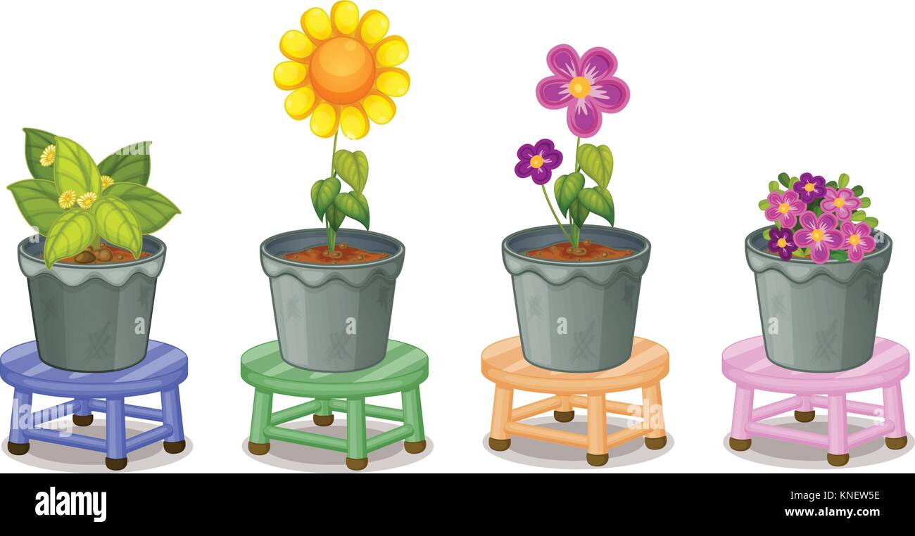illustration of various potted plants on stools on a white background ...