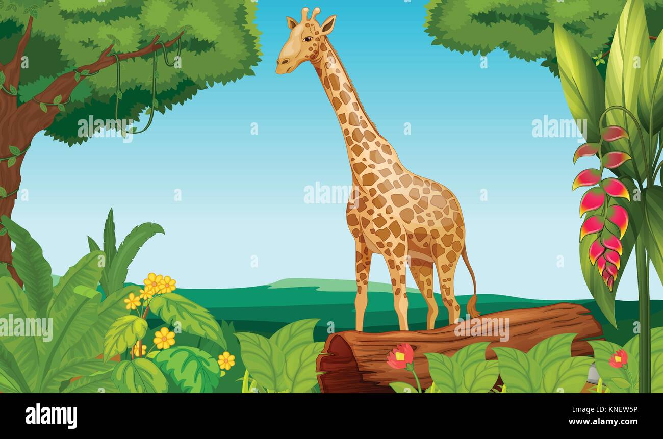 Illustration of a giraffe in the forest Stock Vector Image & Art - Alamy