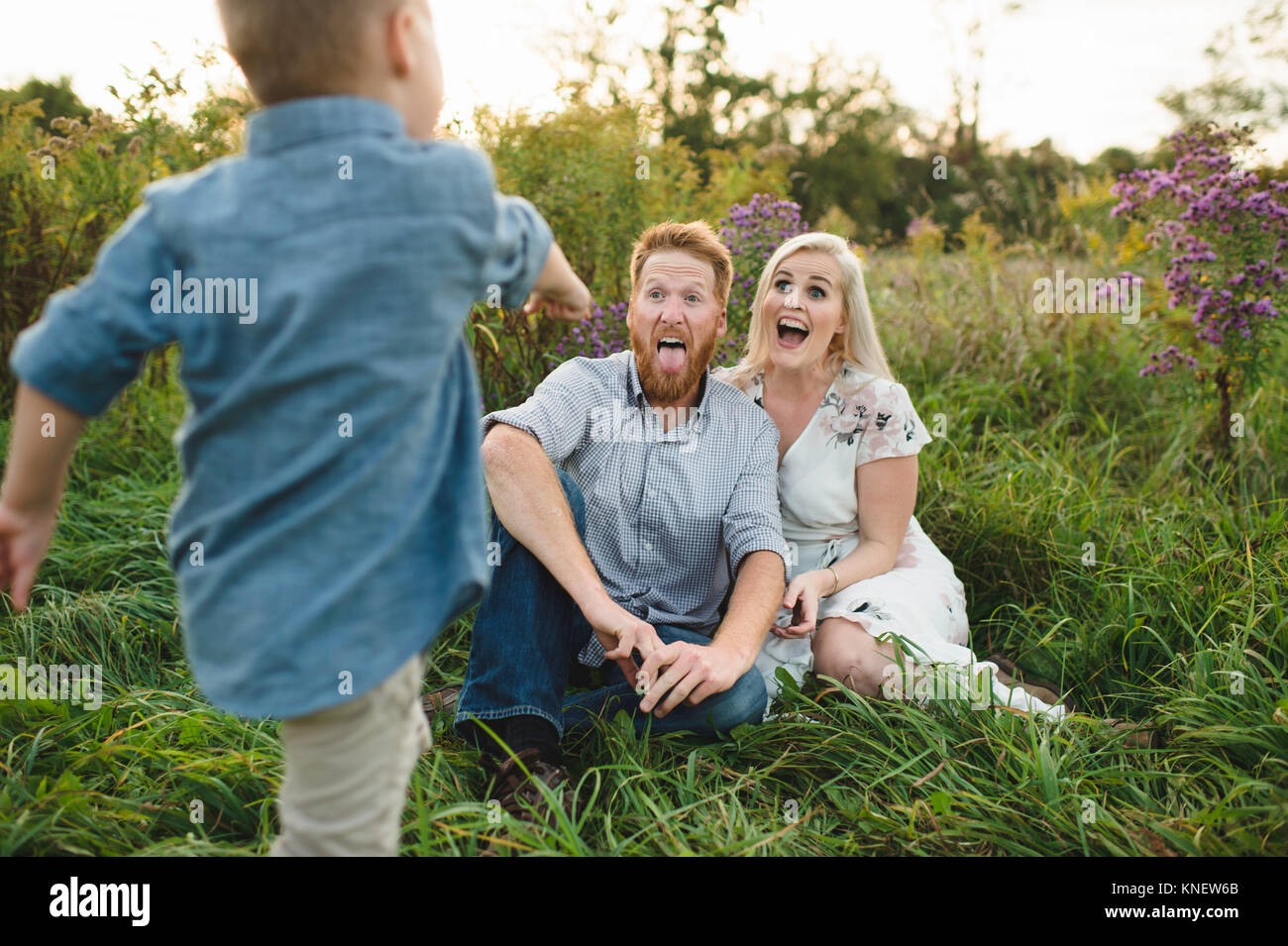 Boy surprising parents sitting in tall grass Stock Photo - Alamy