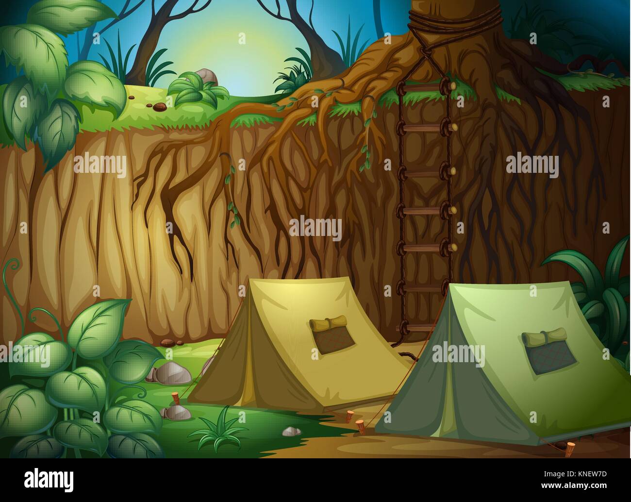 Ladder in the forest Stock Vector Images - Alamy