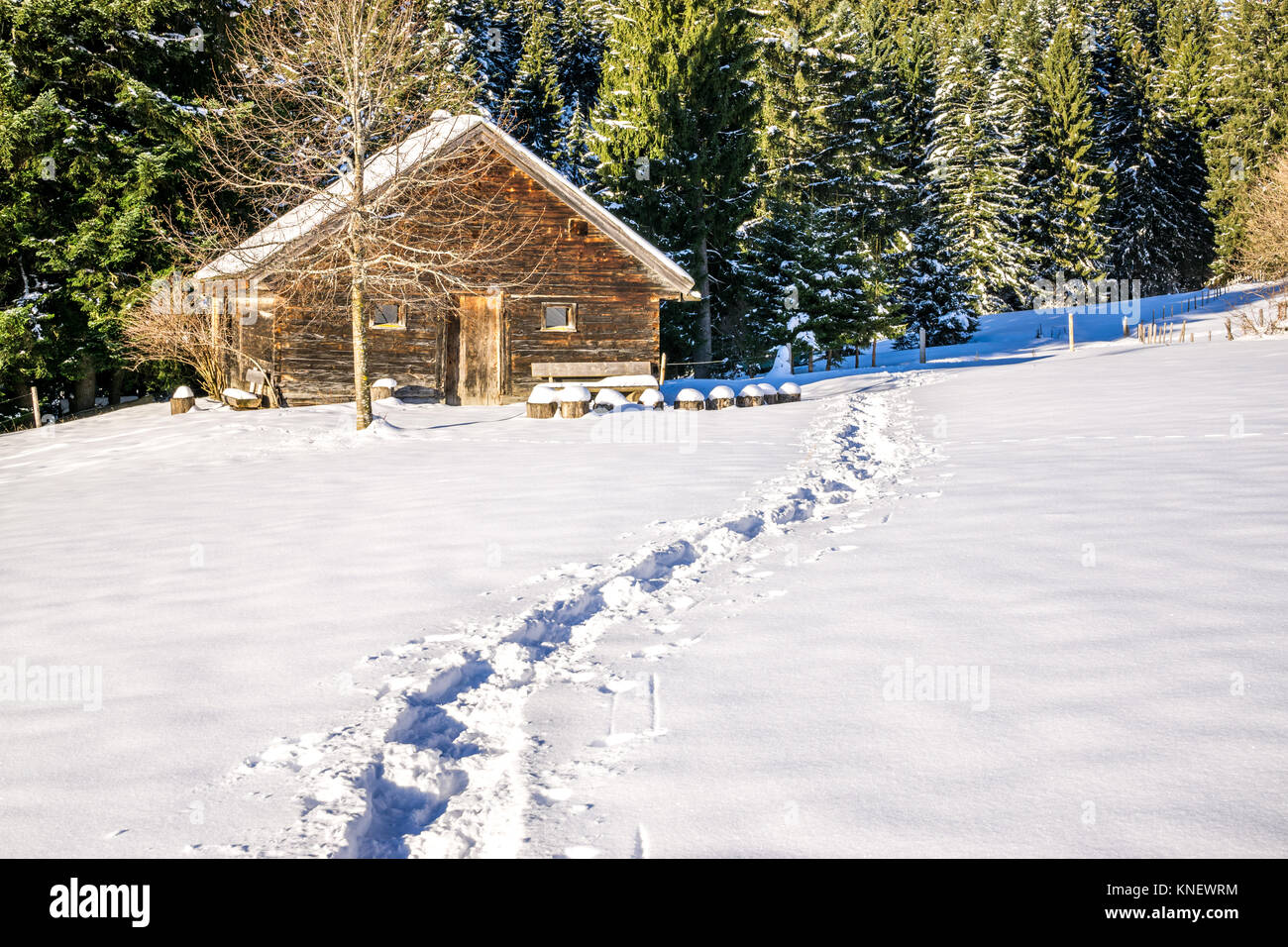 Trapper Cabin High Resolution Stock Photography and Images - Alamy