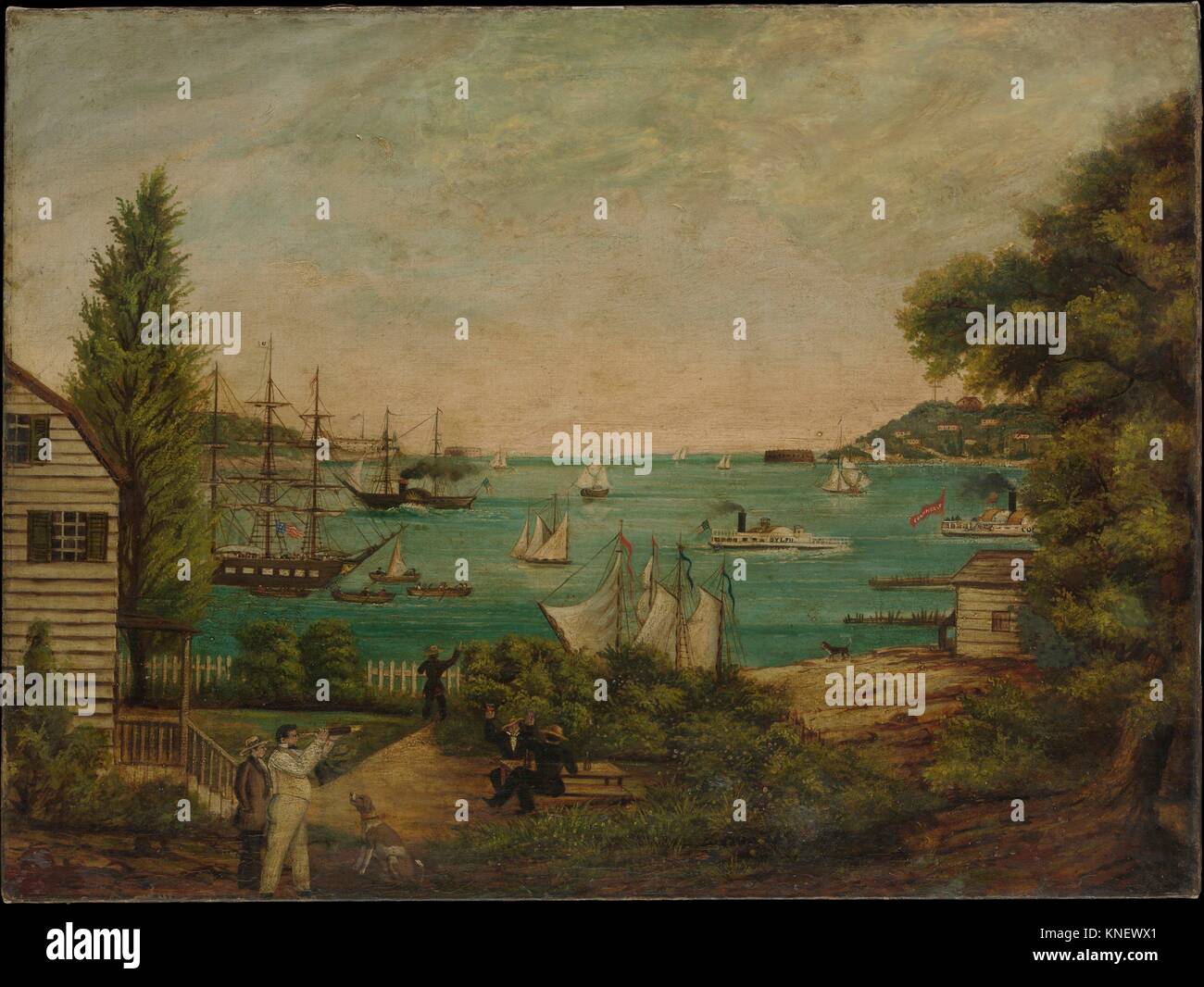 1855 Classification High Resolution Stock Photography and Images - Alamy