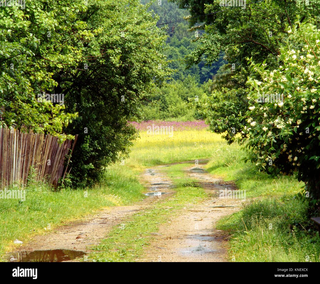 The villiage hi-res stock photography and images - Alamy