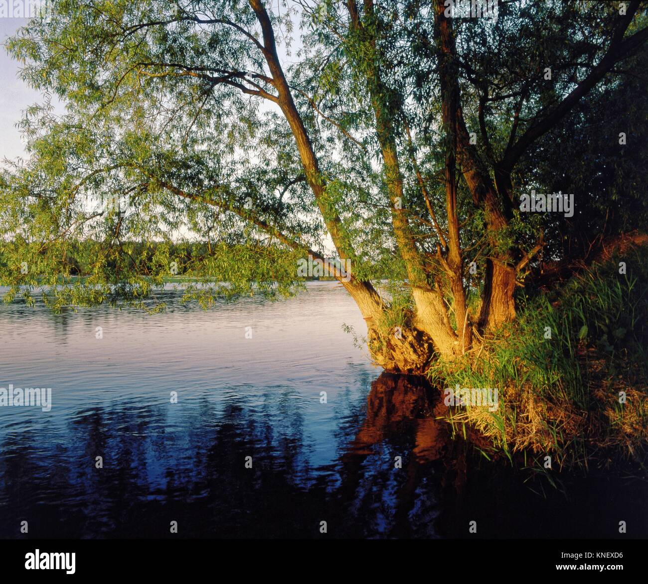 Bug river hi-res stock photography and images - Alamy