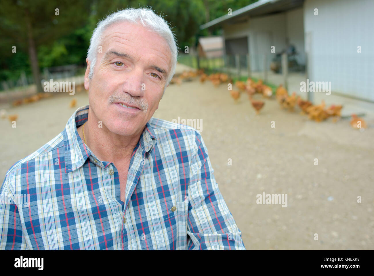man inside the chicken coop Stock Photo - Alamy