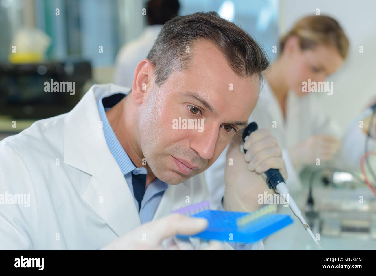 scientist performing analysis Stock Photo - Alamy