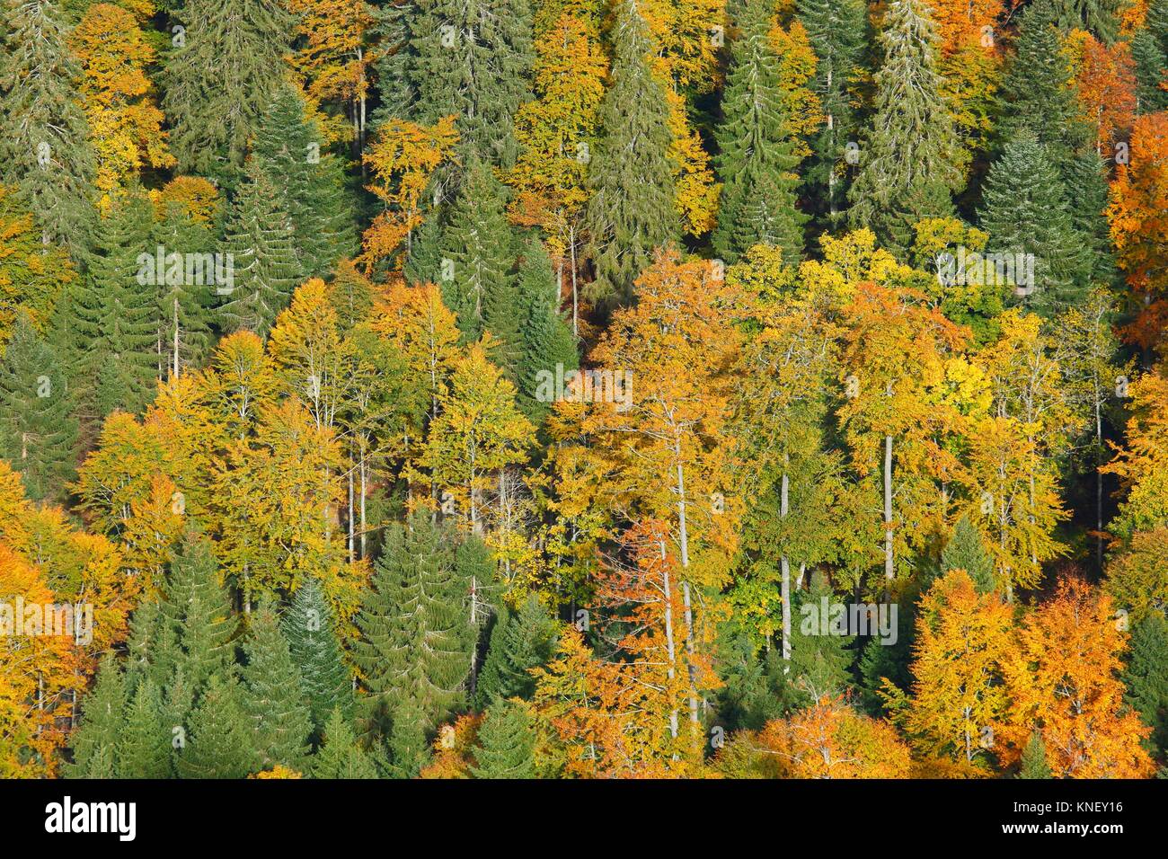 Switzerland pattern hi-res stock photography and images - Alamy