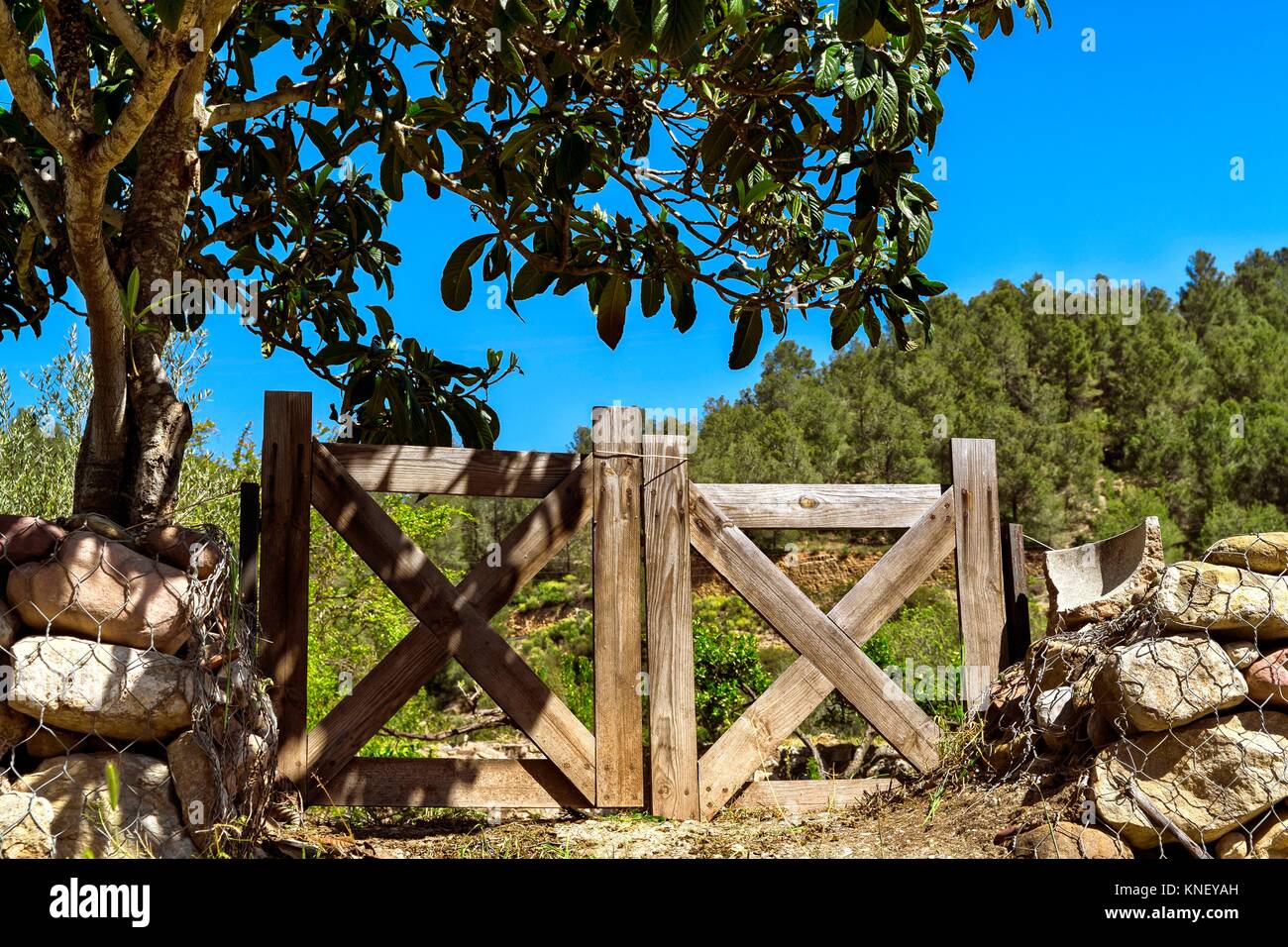 Rural sunny scene hi-res stock photography and images - Alamy