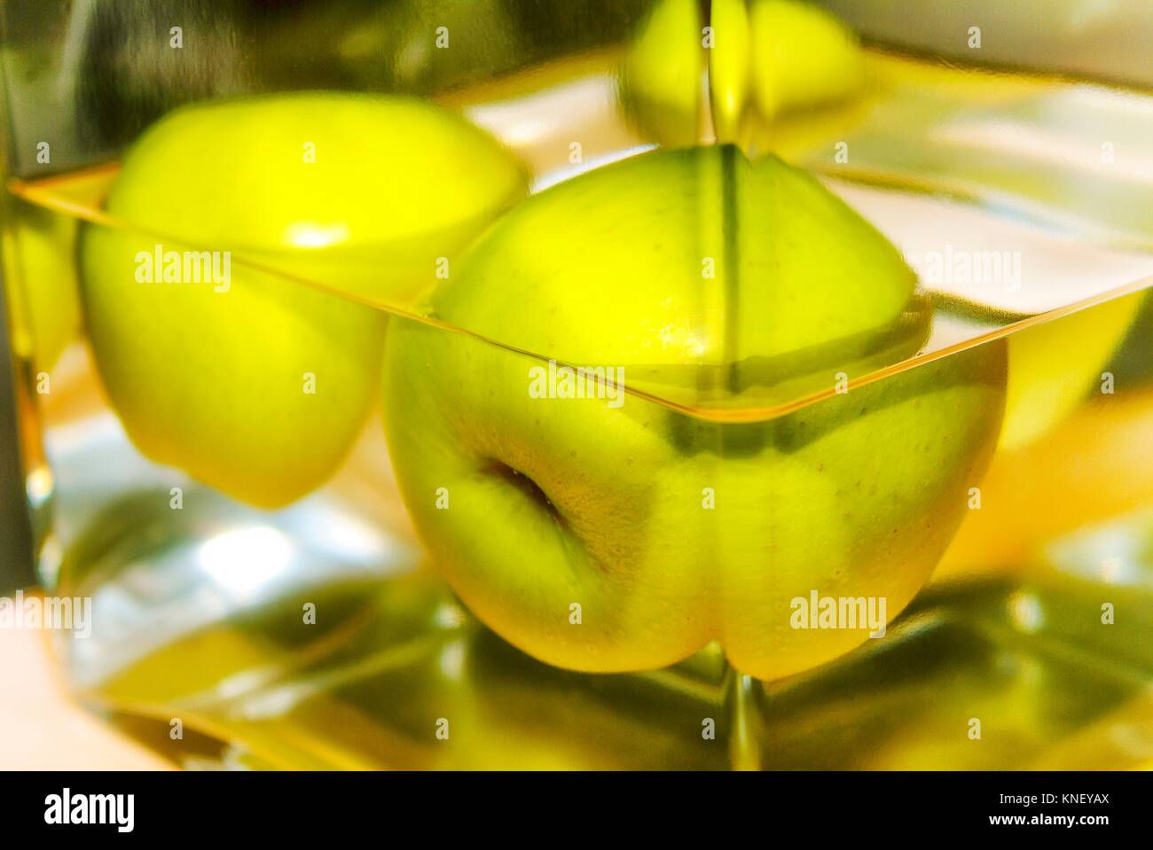 Half submerged in water hi-res stock photography and images - Alamy