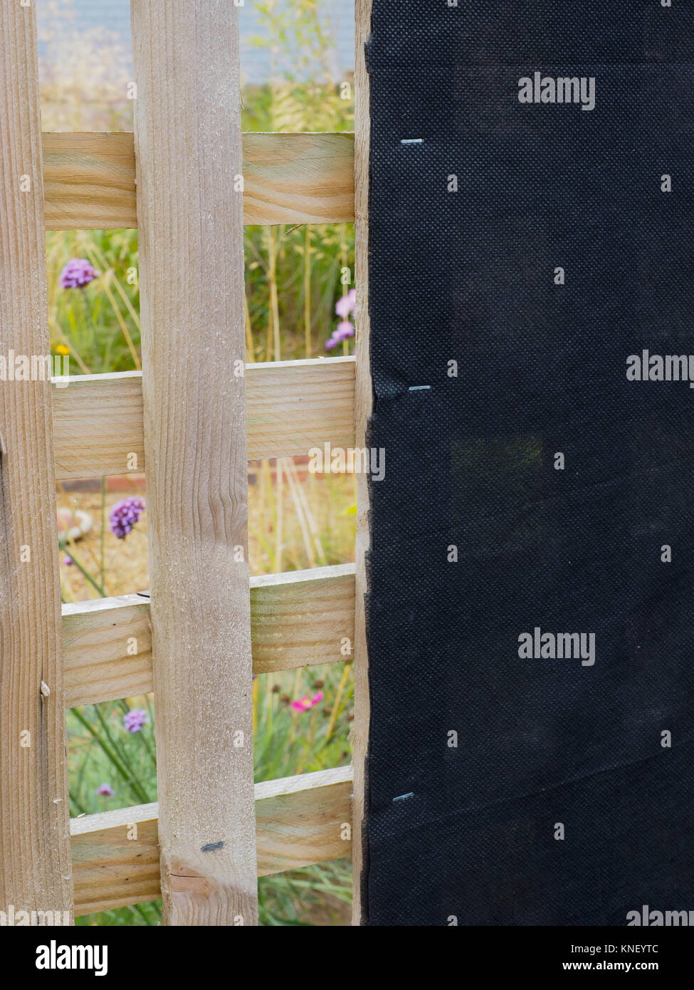 Trellis fencing hi-res stock photography and images - Alamy