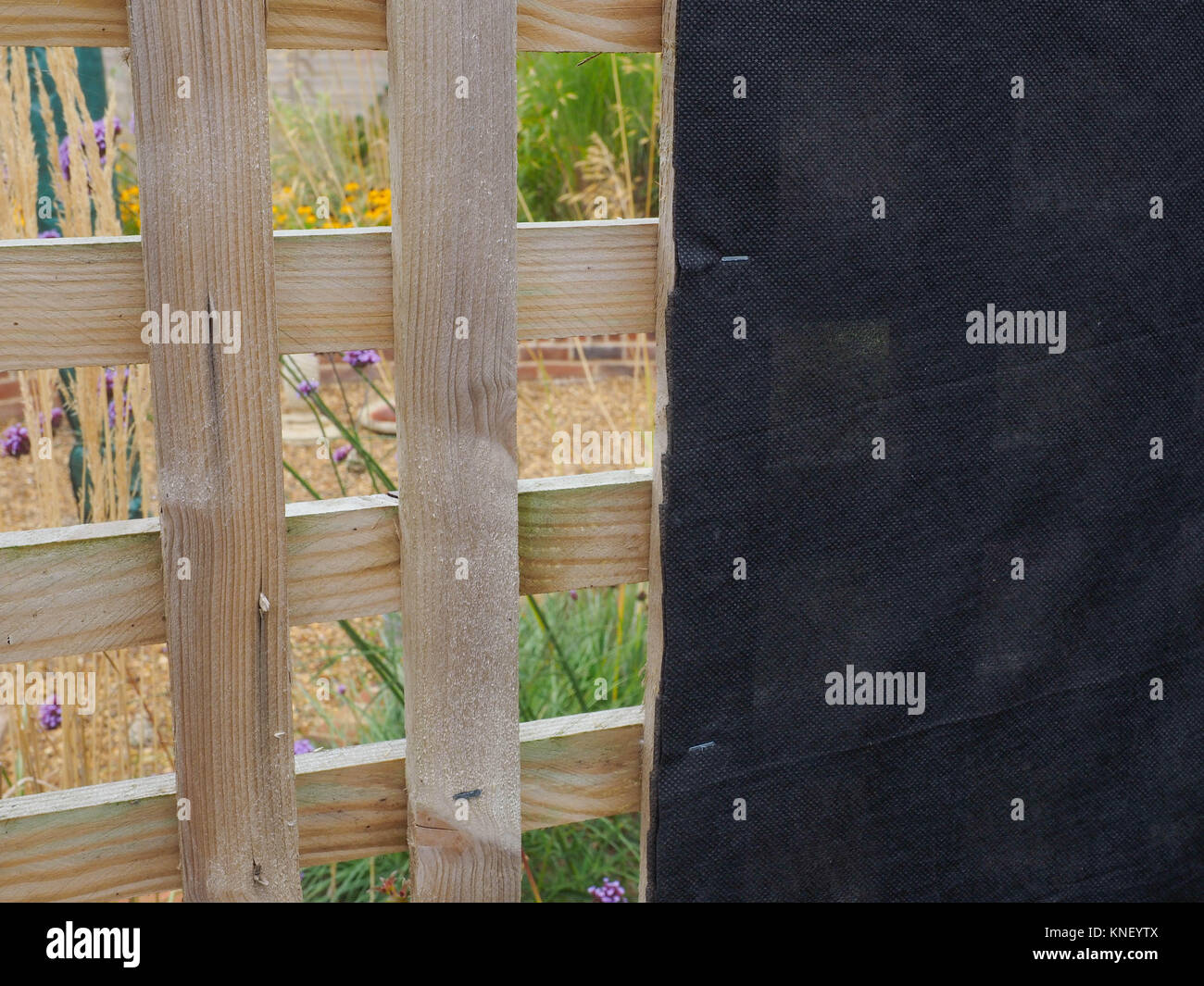 Trellis fencing hi-res stock photography and images - Alamy