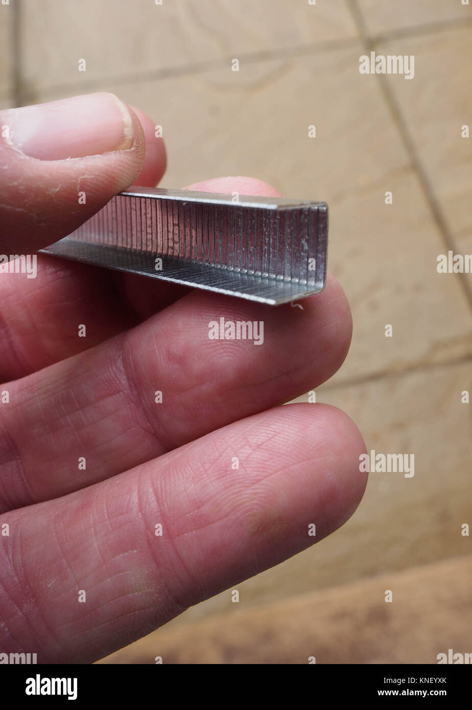 Staples digital hi-res stock photography and images - Alamy