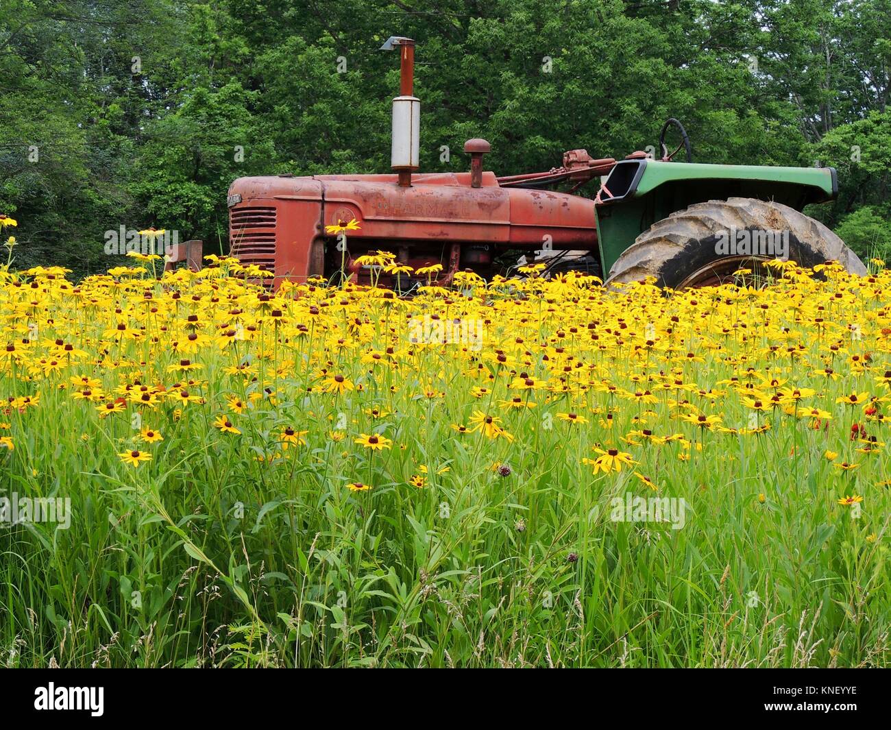 Green old tractor hi-res stock photography and images - Alamy